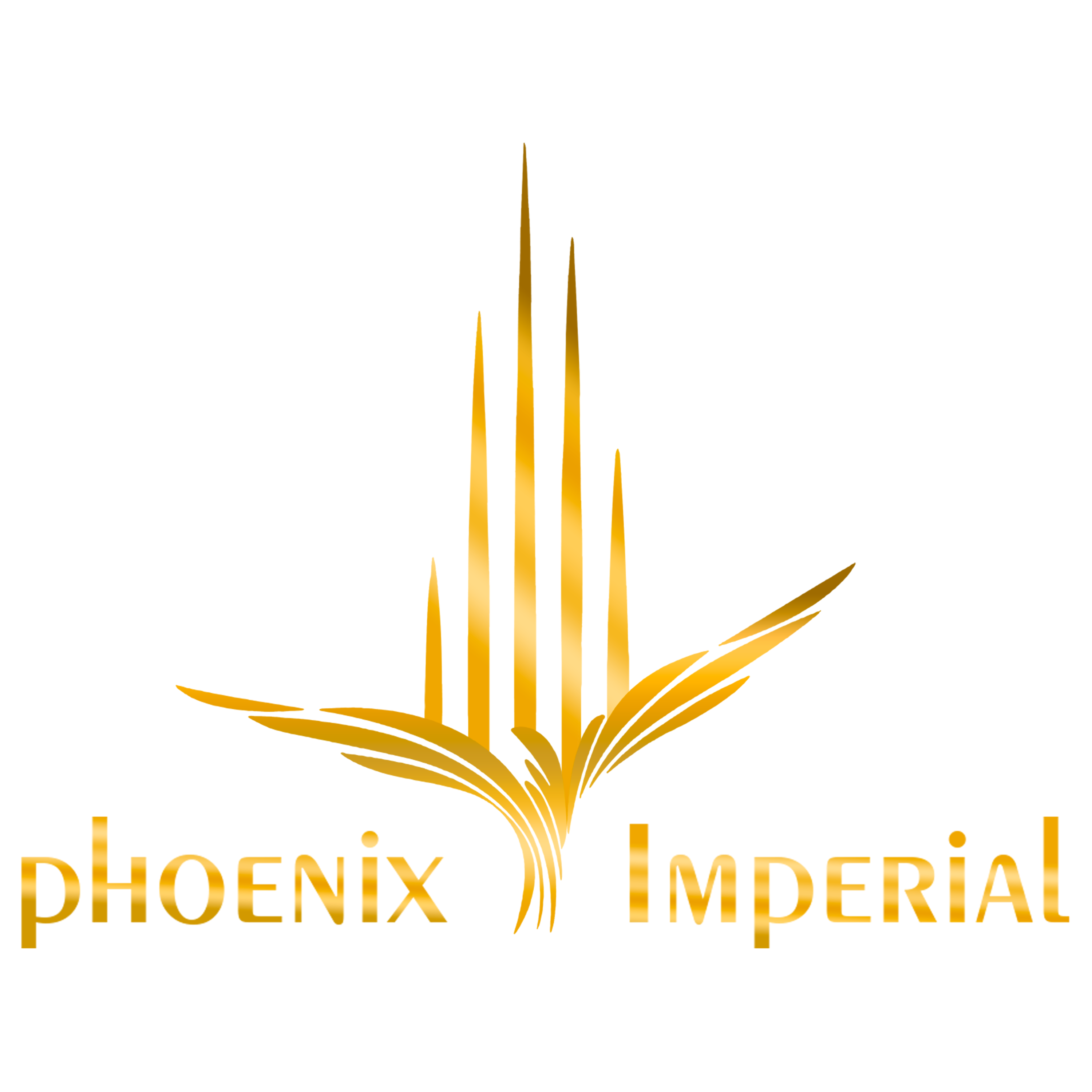PHOENIX IMPERIAL PROPERTIES LLC